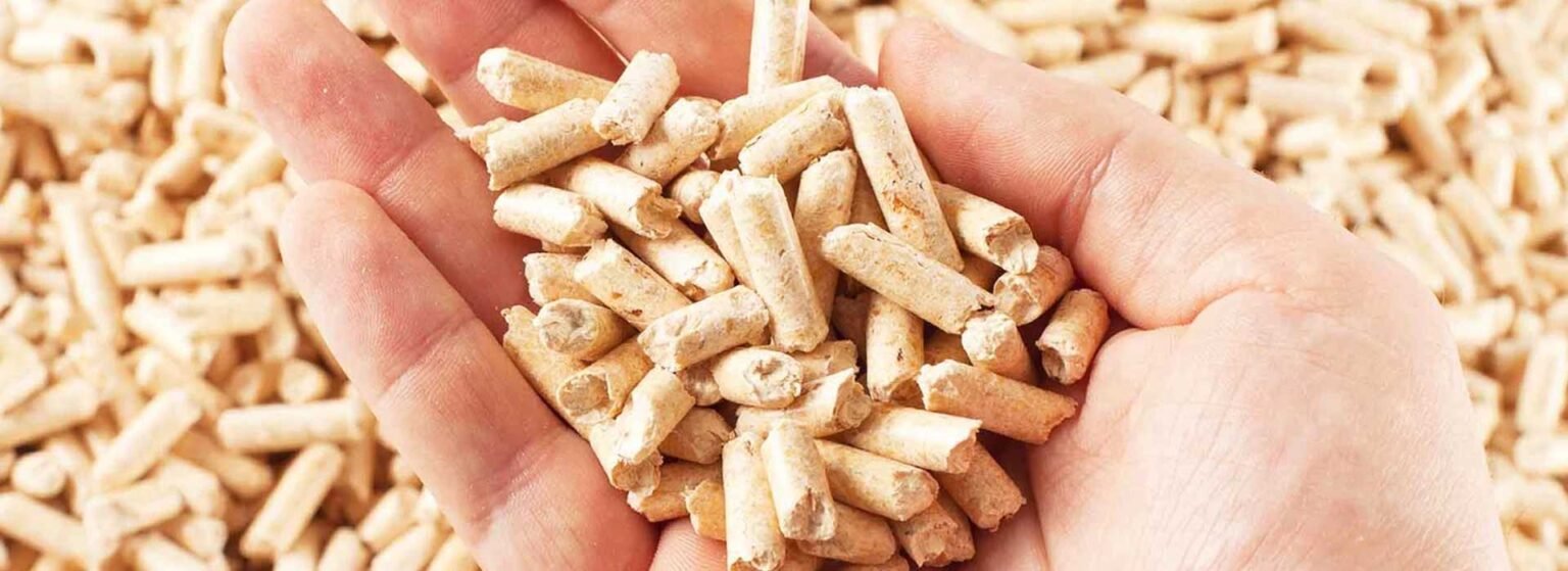 Pelet Sobası Yakıtı Fiyatları | En İyi Pelet Soba Yakıtı Çam Peleti